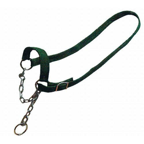 Cattle Halter – Dexter – Rural Store