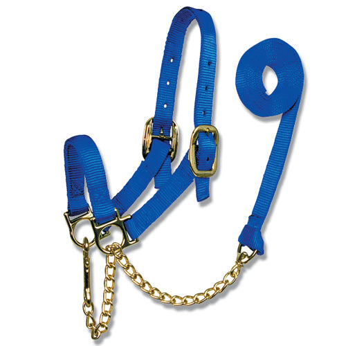 Nylon Show Halter – Rural Store