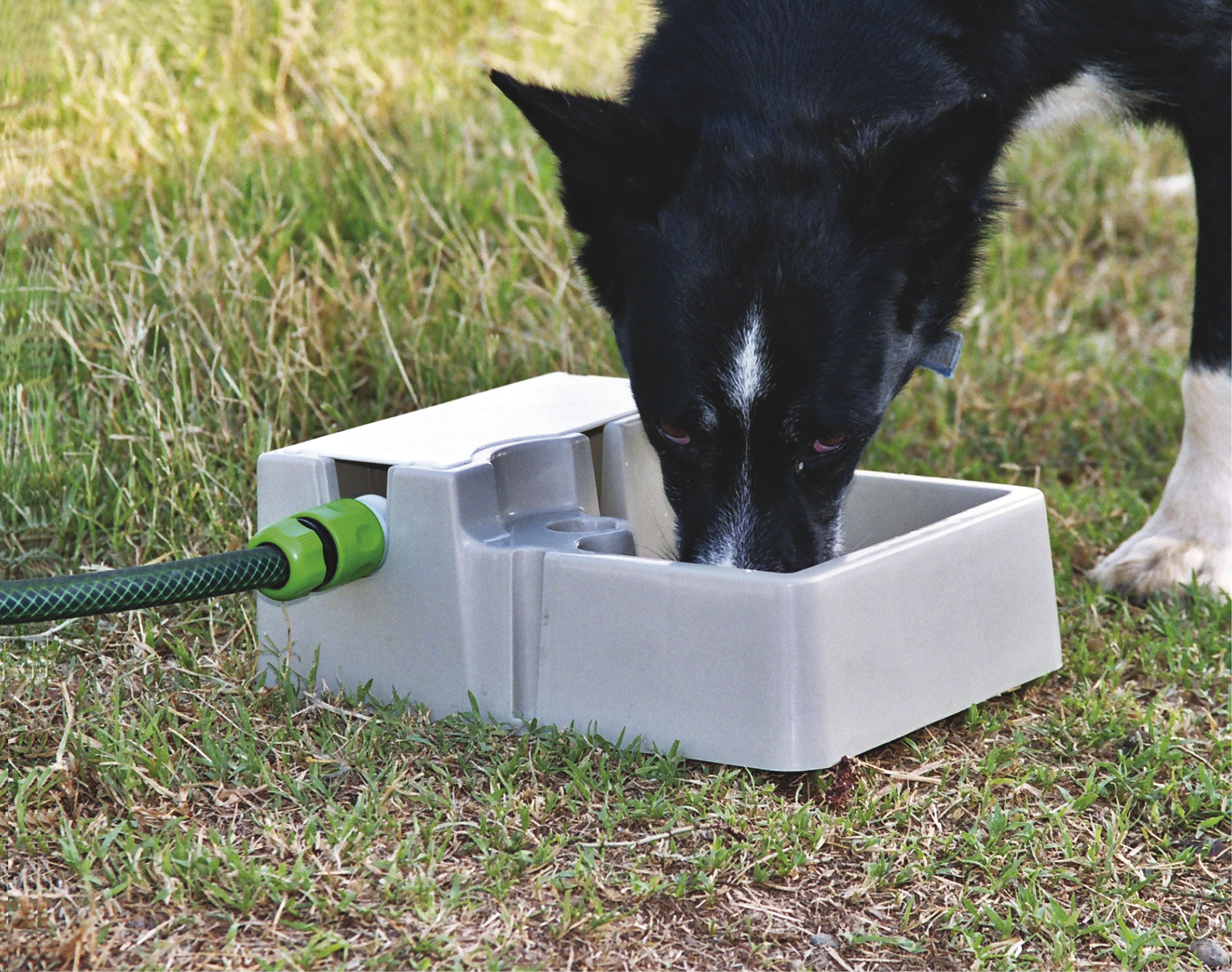 Bainbridge Automatic Pet Waterer – Rural Store